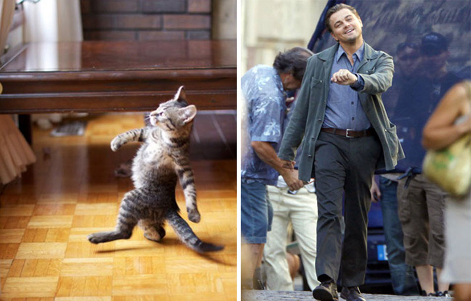 22 Animals That Totally Look Like Celebrities